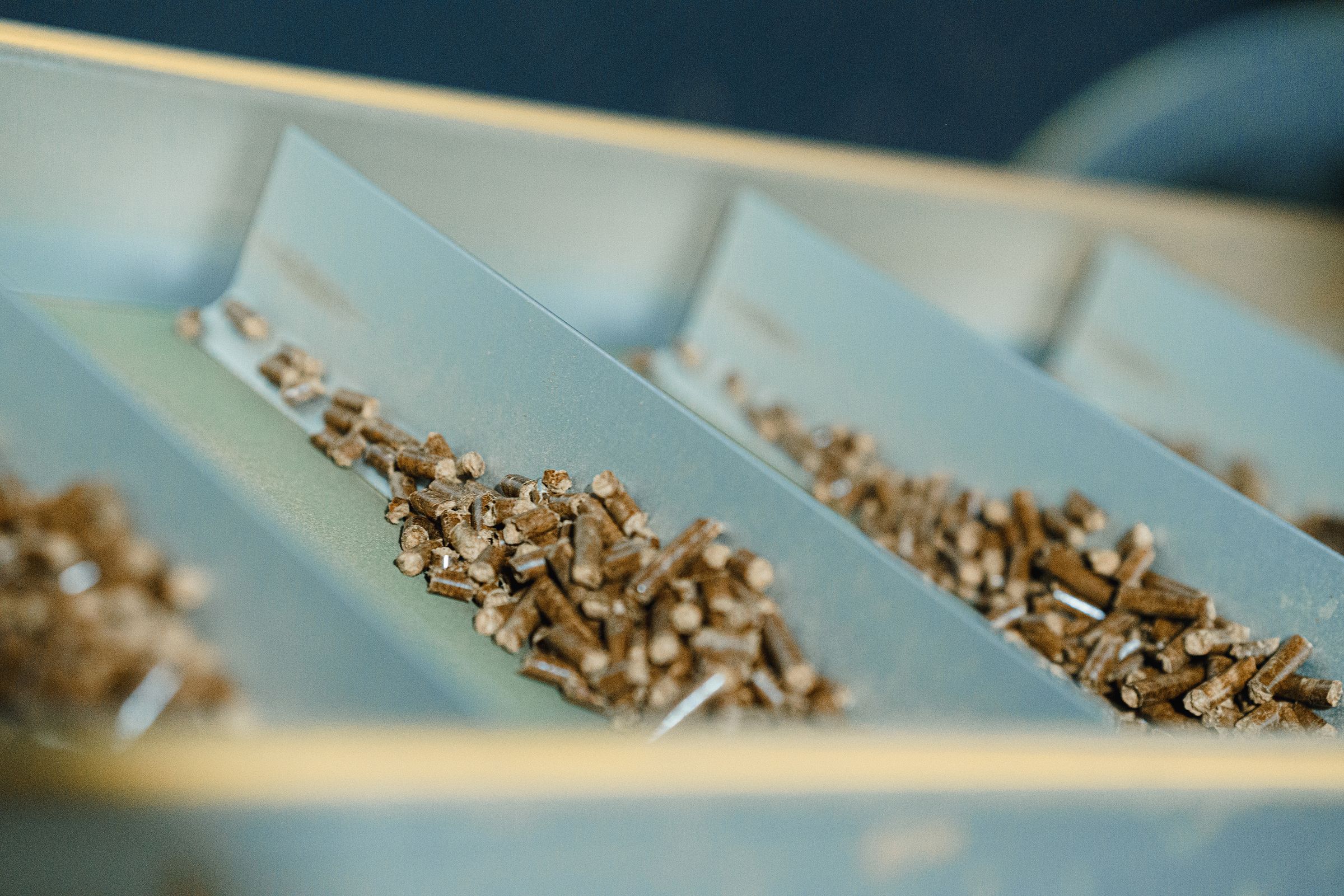 Market and Industry Trends | Bioenergy
